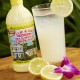 Key West Lemon Juice, 12 X 16 oz - Nellie and Joe's Famous Keylime Juice